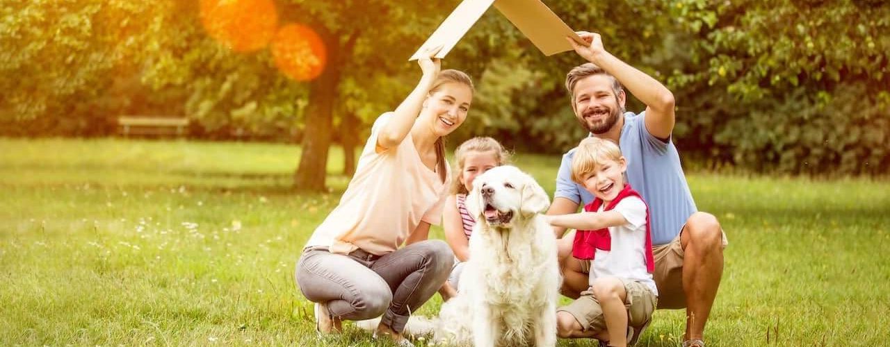 How Many Pets Can You Have In A Rental Property How Many Pets Can You Have In A Rental Property
