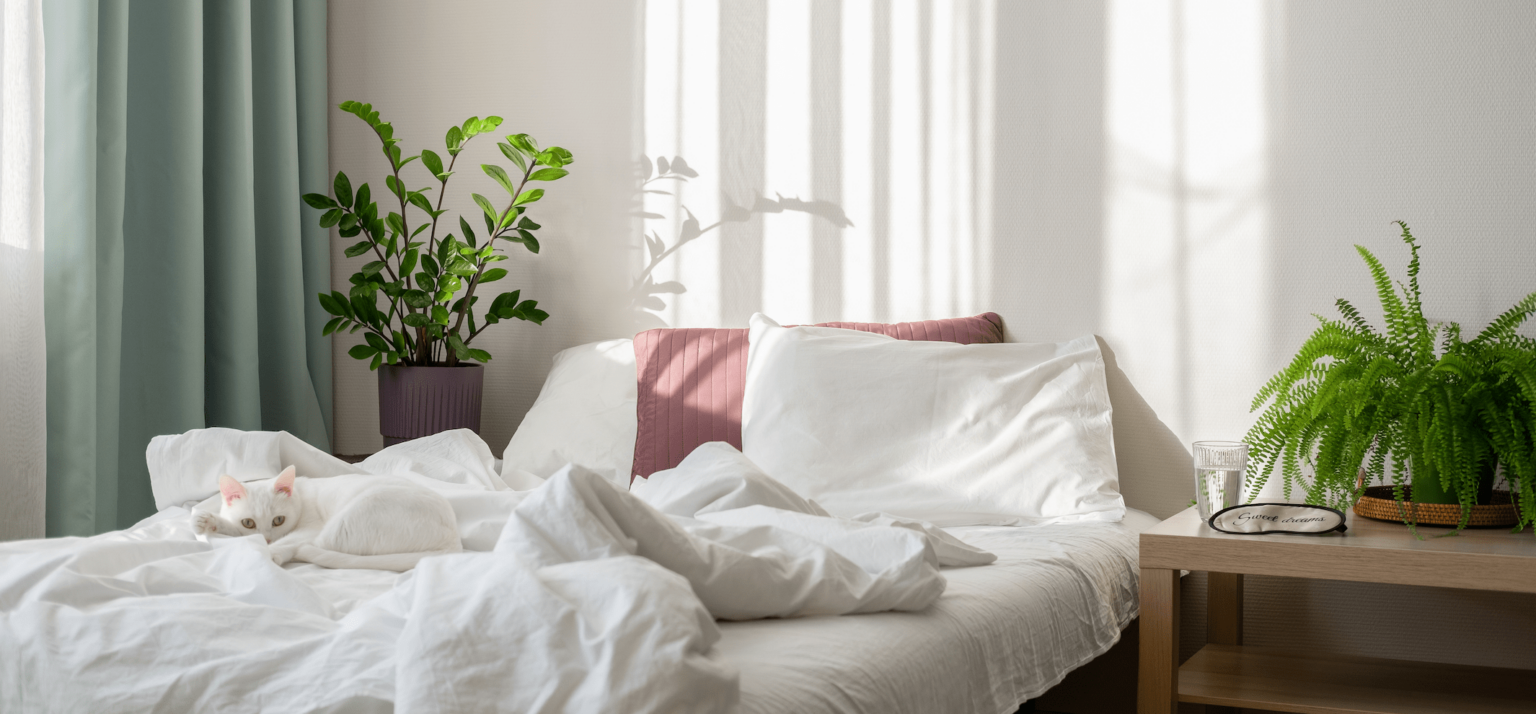 What Rights Do Rent A Room Tenants Have? | CIA Landlords