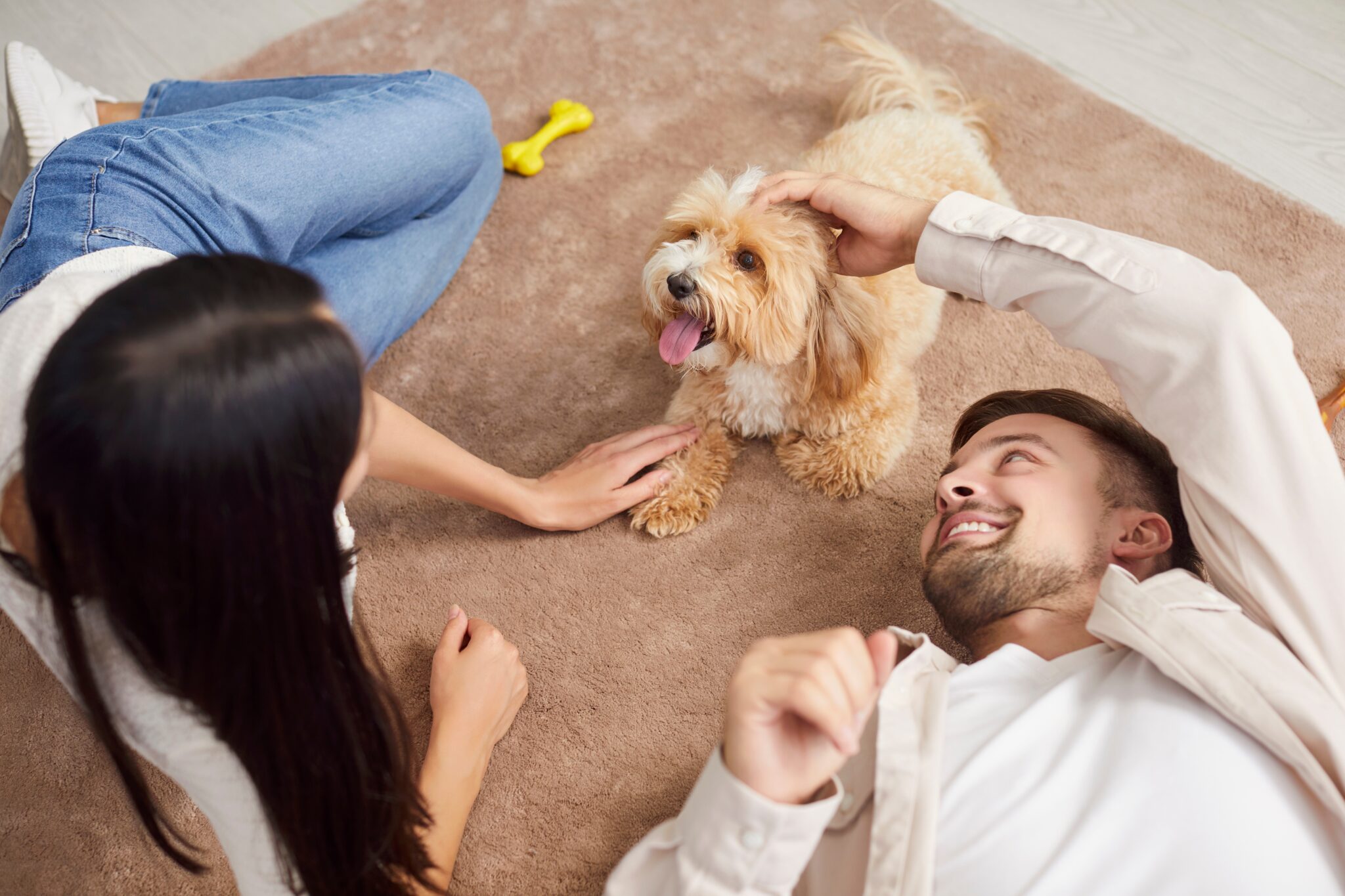 Pet rent and pet deposits - CIA Landlords