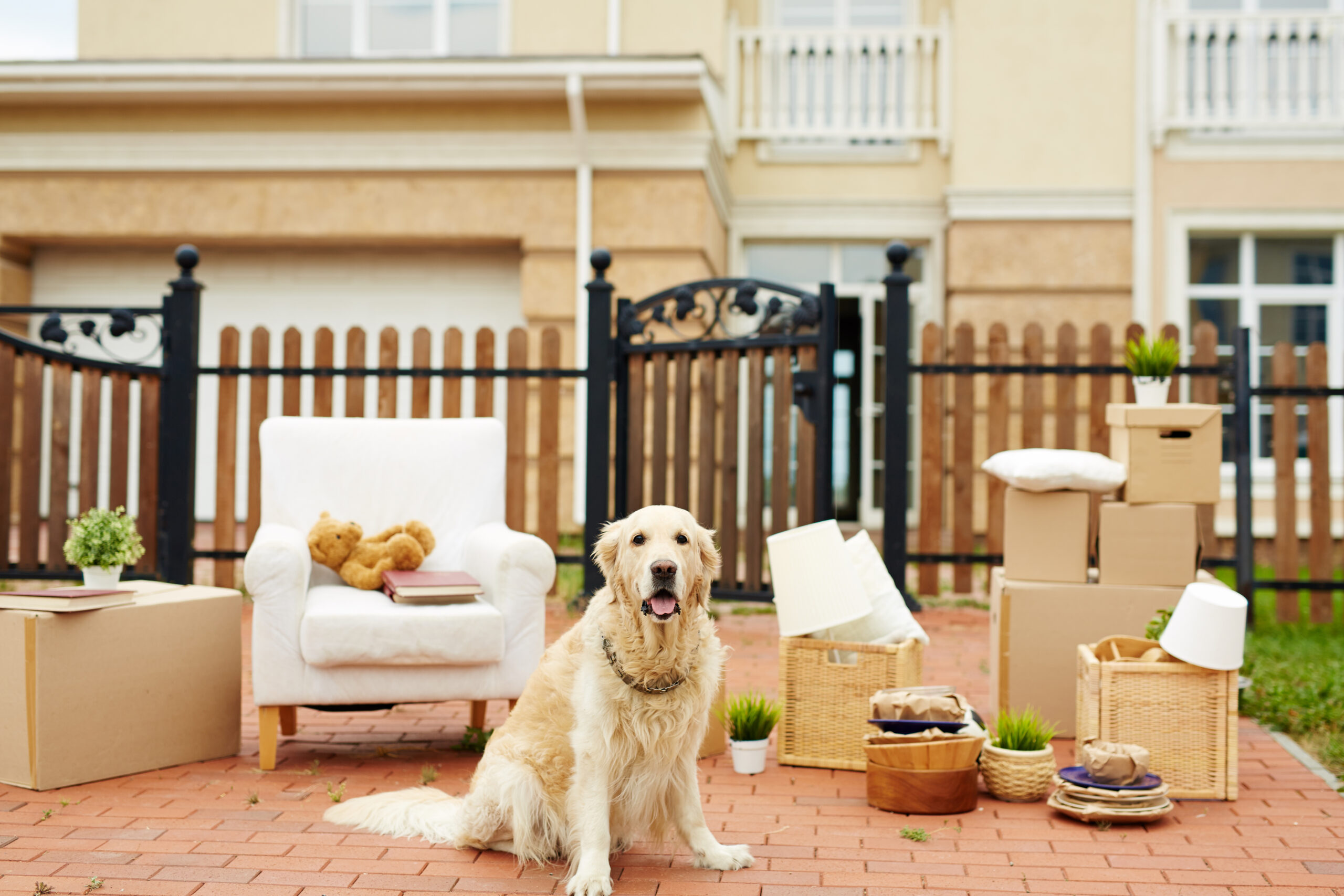 Pet rent and pet deposits - CIA Landlords