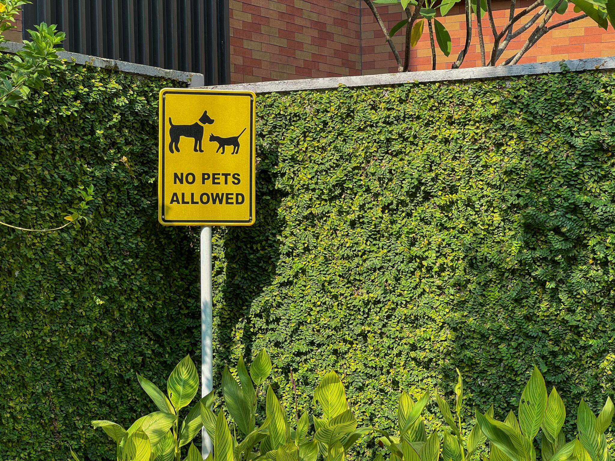 Can a landlord refuse pets? - CIA Landlords