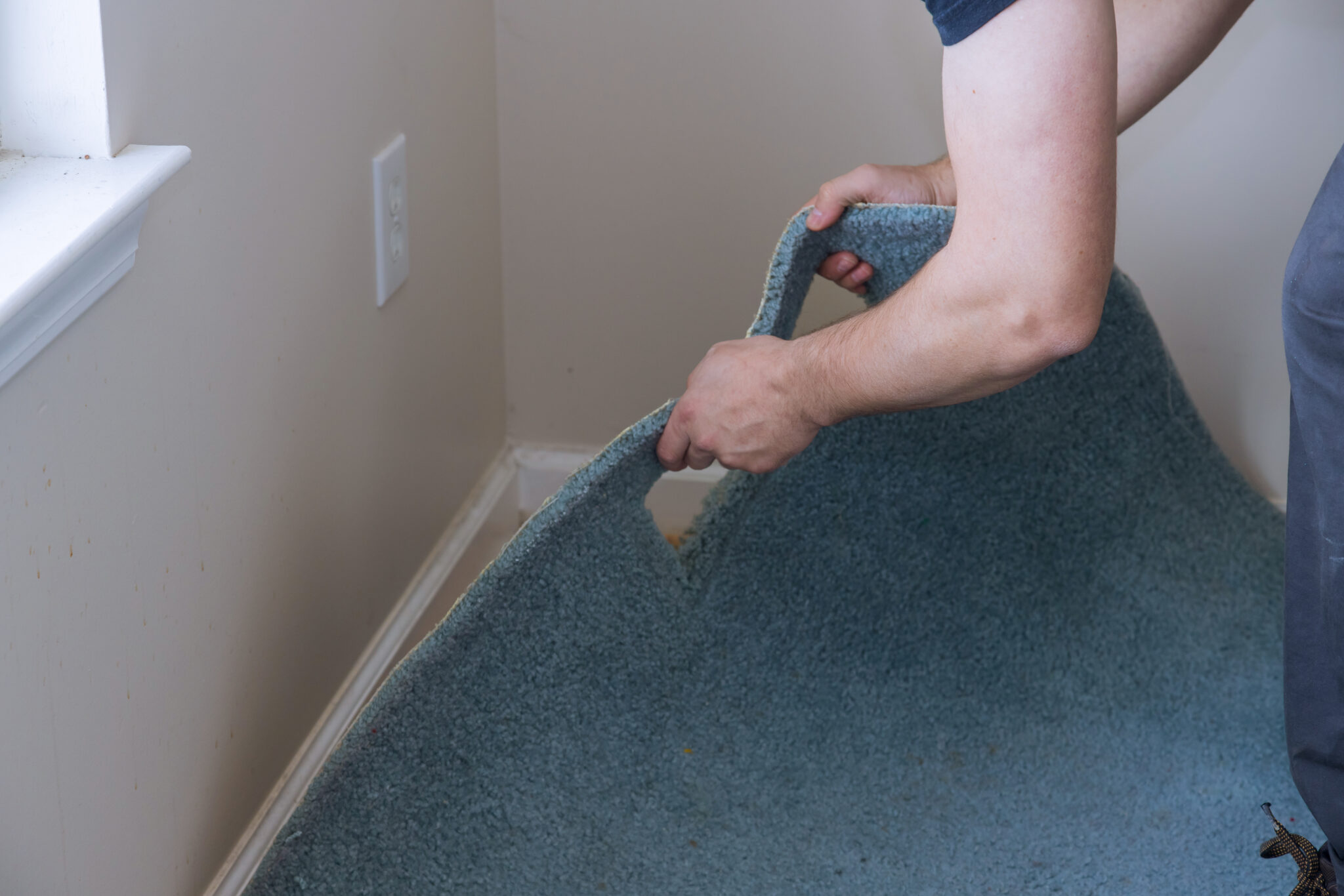 Should a landlord replace carpets? - CIA Landlords